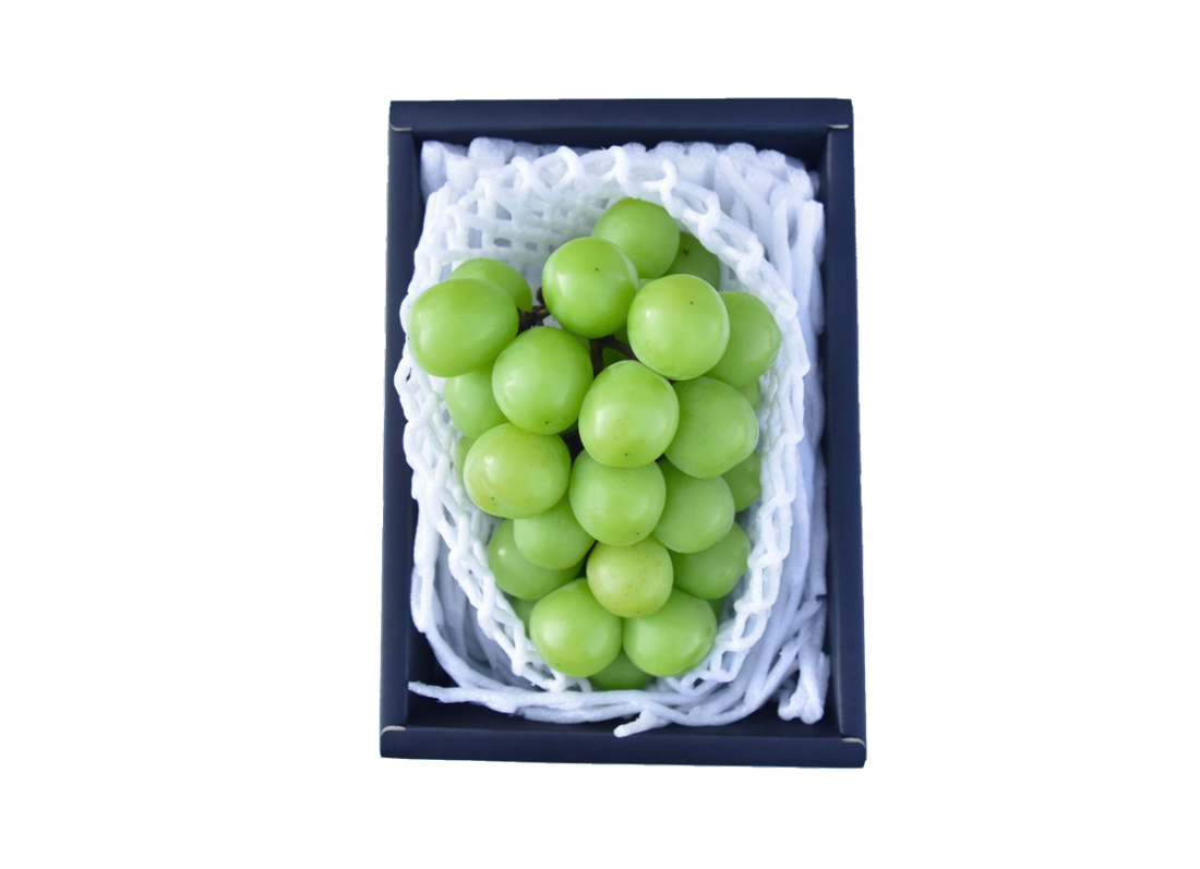 冬のシャインマスカット【2月発送】 ｜ 産地直送お取り寄せ・通販 – Katerial（カテリアル）