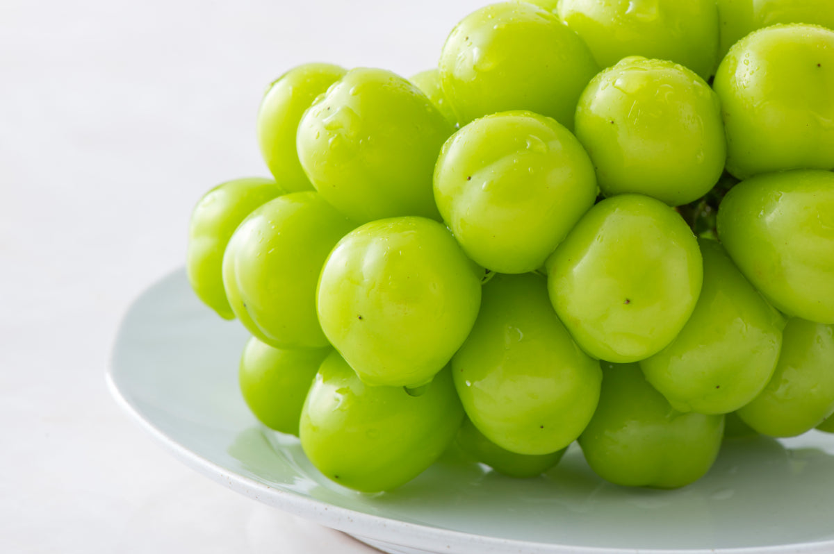 【送料込】特選ランク 贈答用シャインマスカット – Katerial