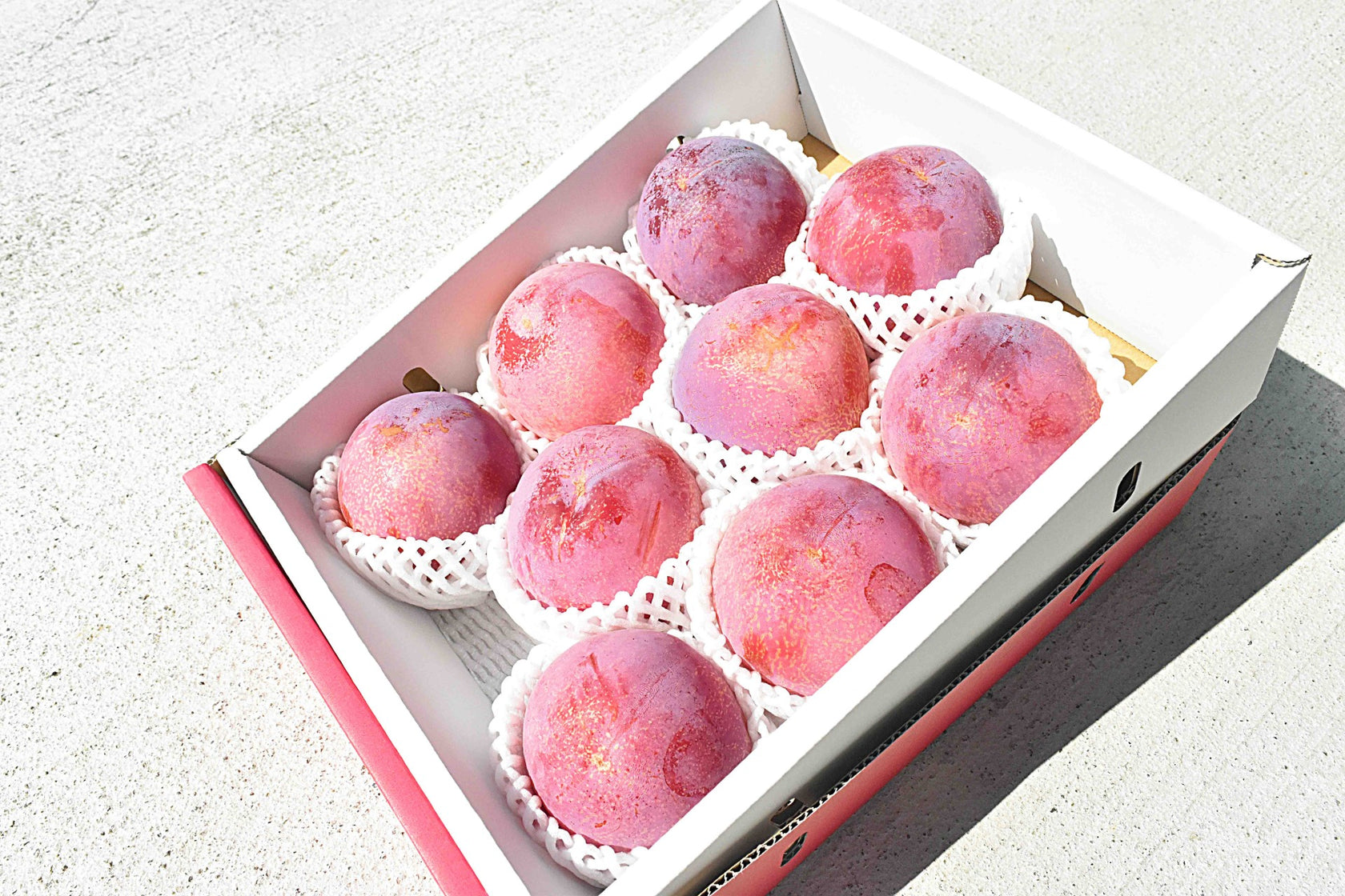 皇寿（高級すもも・プラム）【1.6kg / 8月上旬〜発送】 ｜山梨県 産地直送お取り寄せ・通販 – Katerial