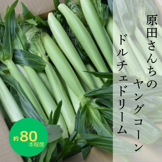 産地直送 新鮮 野菜 甲斐市産 ヤングコーン（ドルチェドリーム）約80本程度 – Katerial（カテリアル）