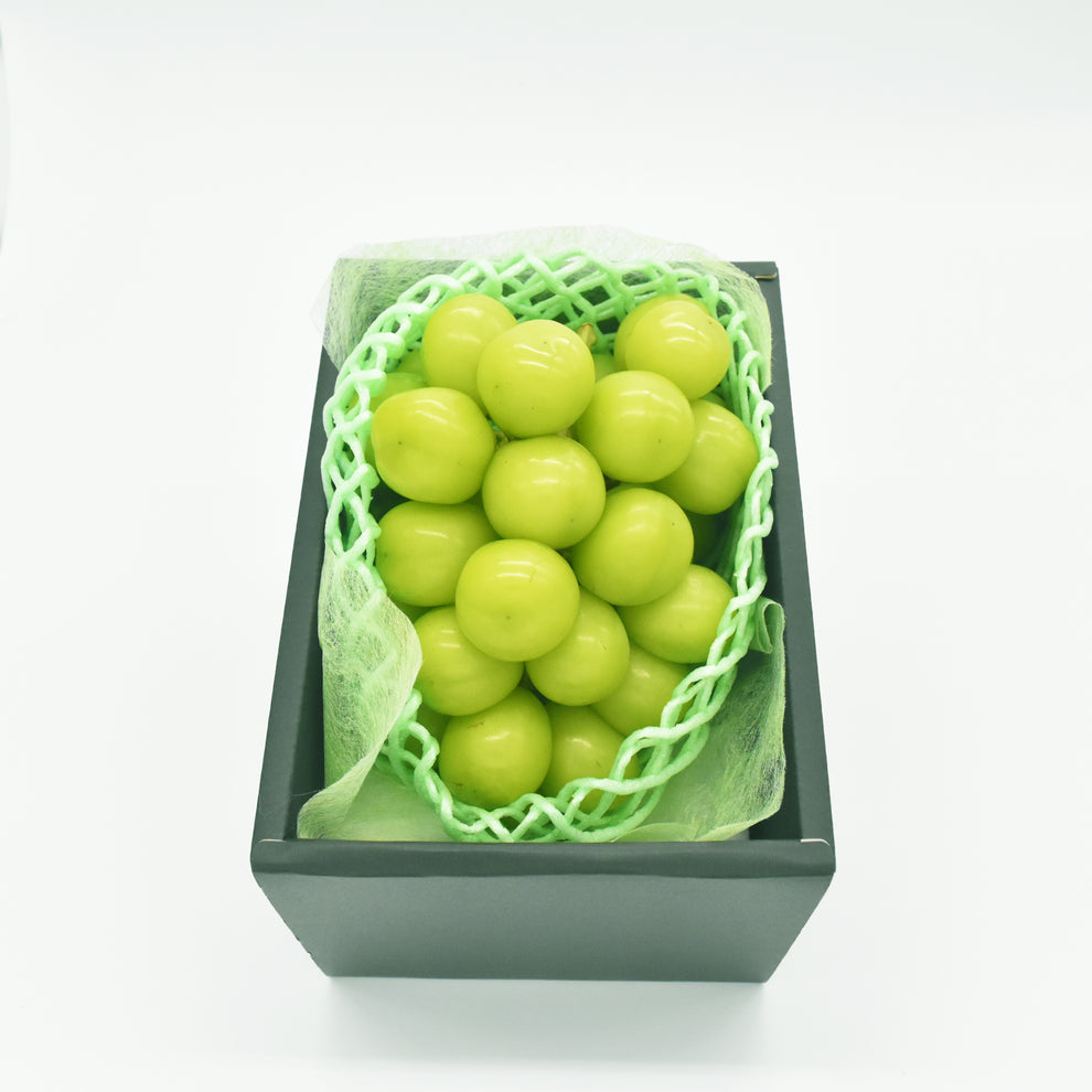 山梨県 シャインマスカット 産地直送お取り寄せ・贈答用【 大粒特選 / 700g以上】 – Katerial